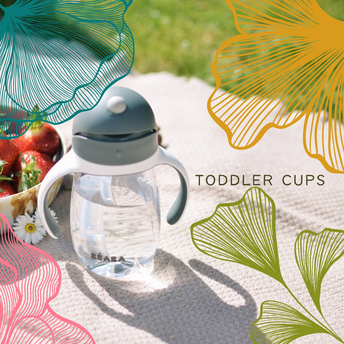 How to Choose the Best Toddler Cups for Your Child – Baby City