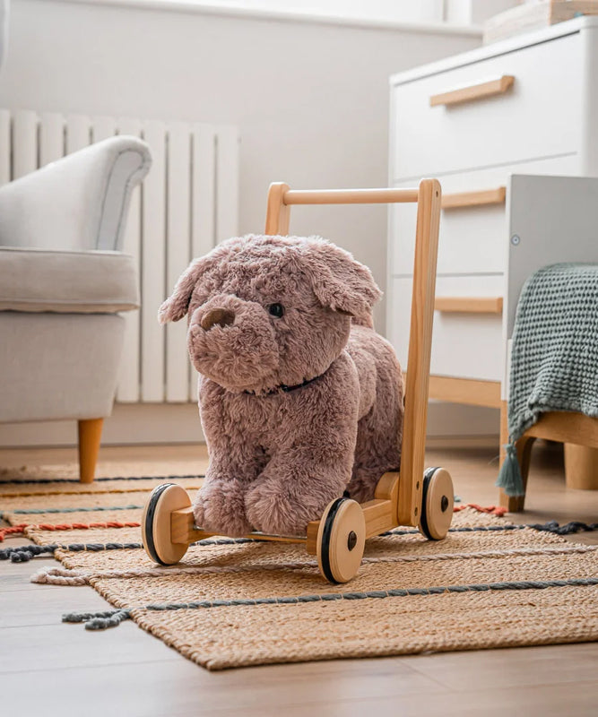 Little Bird Told Me Push Along Bailey Dog at Baby City