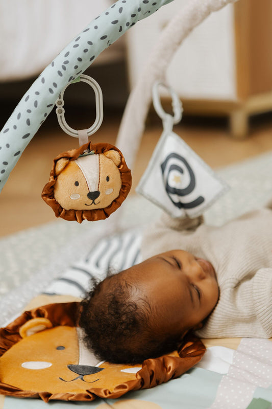 Nuby Animal Adventures Play Gym – Baby City