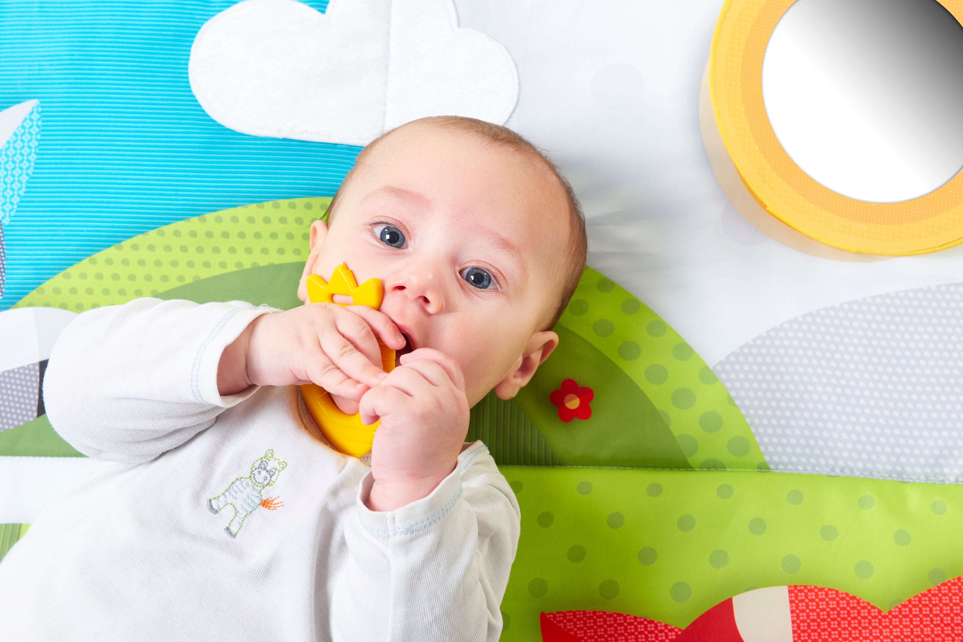 Tiny Love Meadow Days Super Mat l Baby City UK